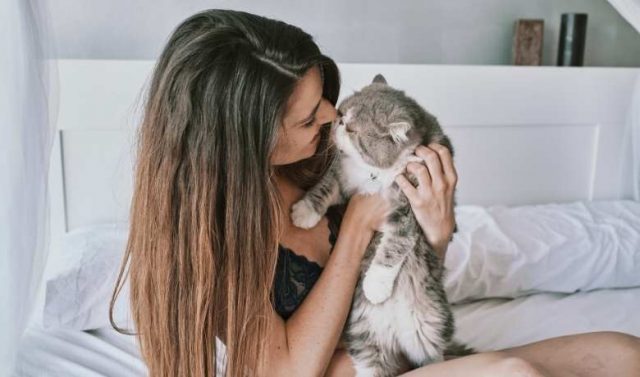 Why Is My Cat So Clingy? Possible Reasons For Needy, Overly Clingy Cats ...