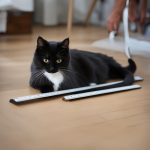 Accurate Guide: How To Measure A Cat Easily